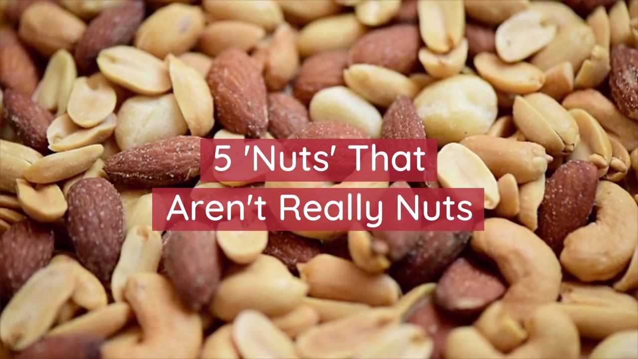 These Nuts Are Not Nuts - video Dailymotion
