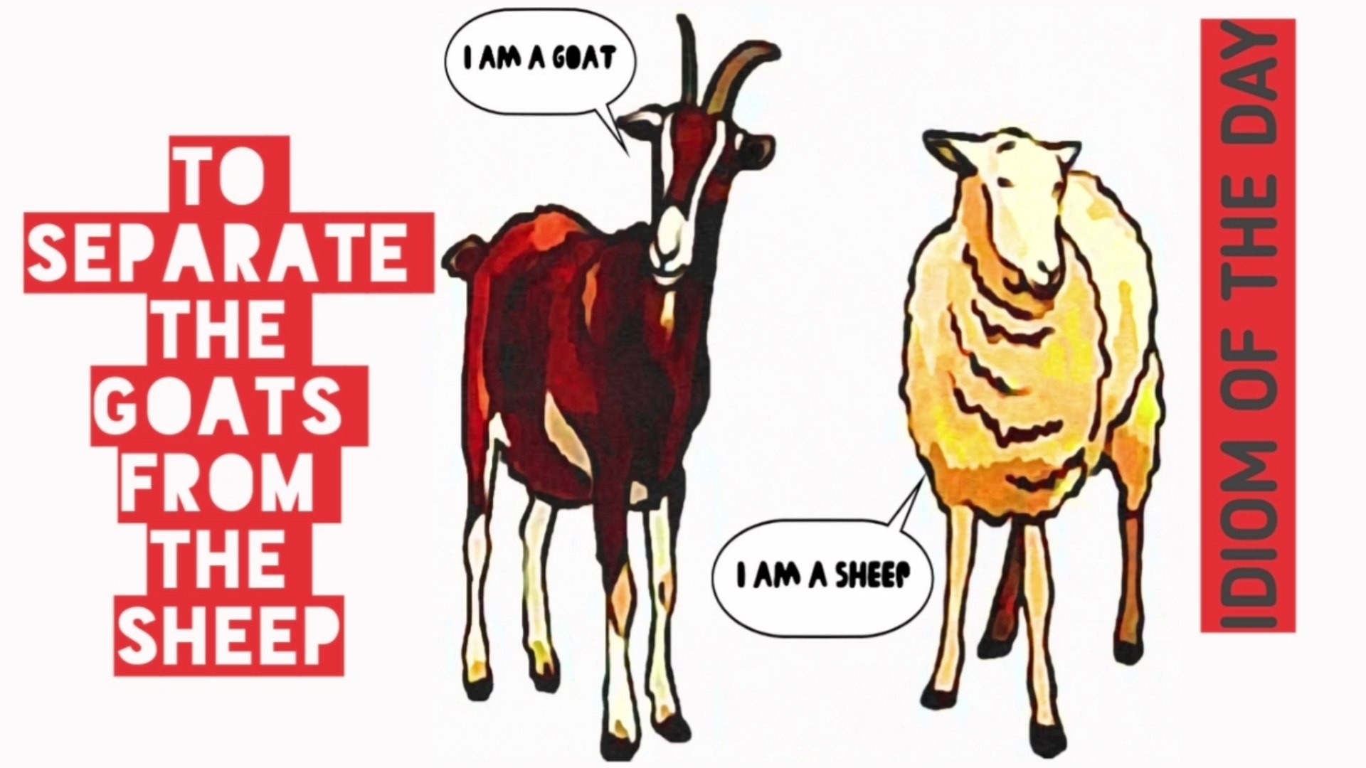 Separate Sheep From Goats