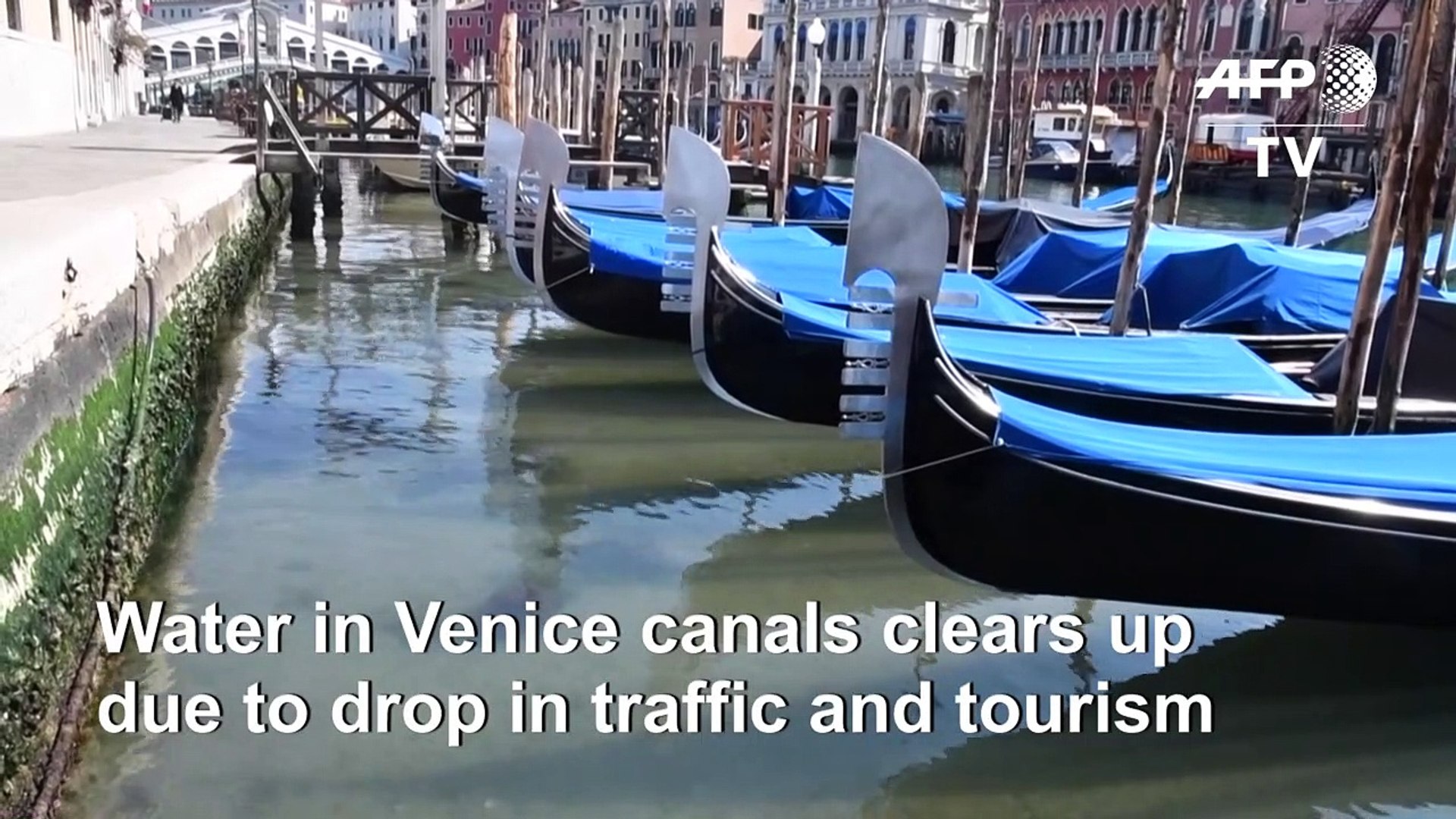Venice Pollution The Venice Of Africa" Sinks Into The Rubbish