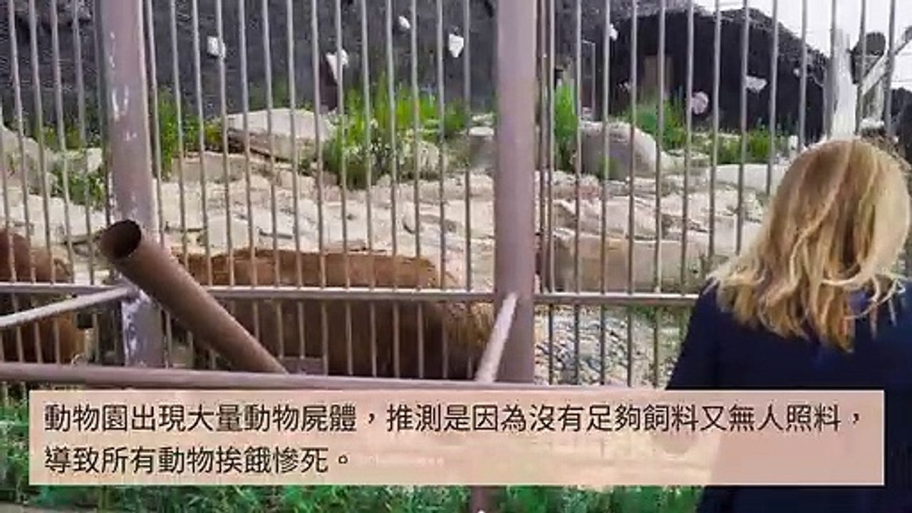 adgeek_teepr_curation_desktop_bottom-copy4-20200331-15:44─影片 Dailymotion