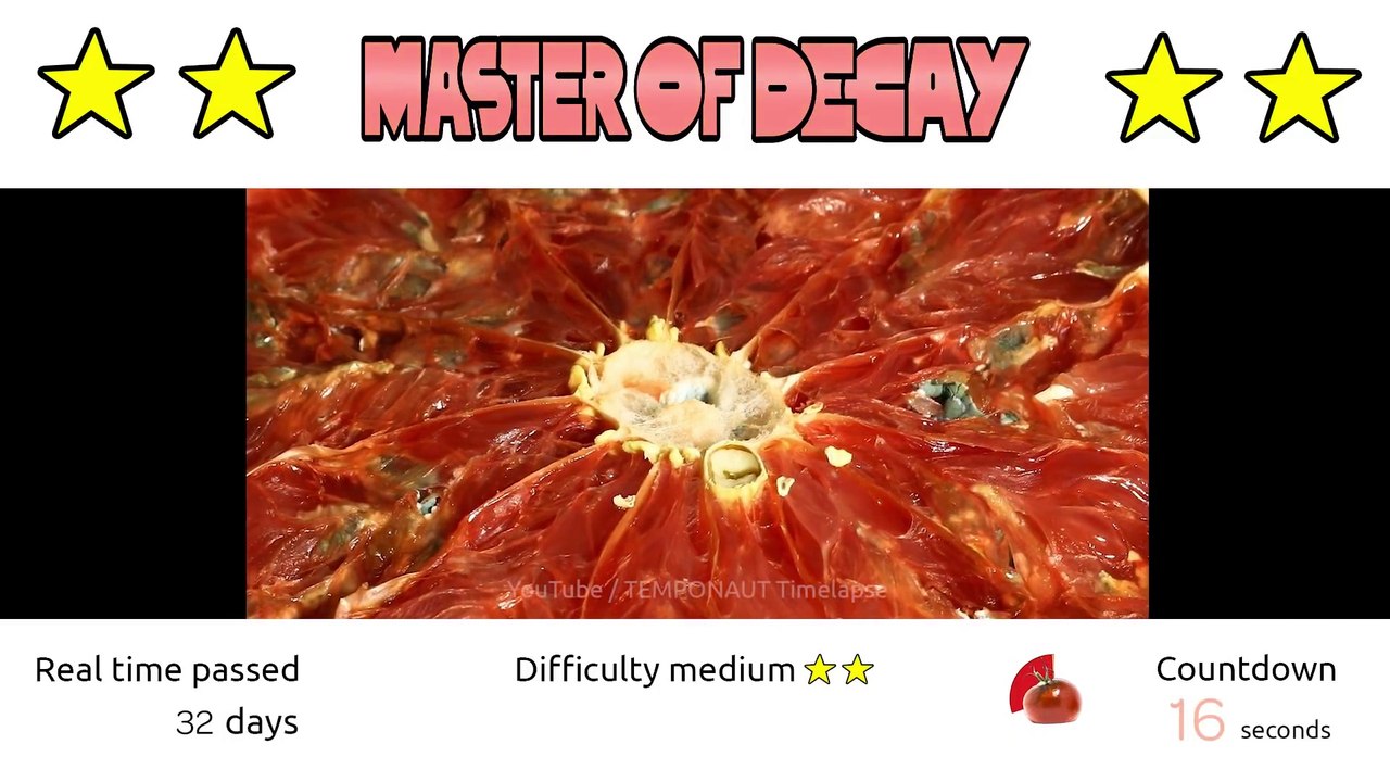 Are You A Master Of Decay_ Time Lapse Video Quiz - video Dailymotion