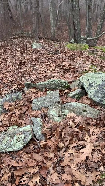 Brian Ghilliotti: Clinton, CT Lithic Site 1: Initial Assessment ...