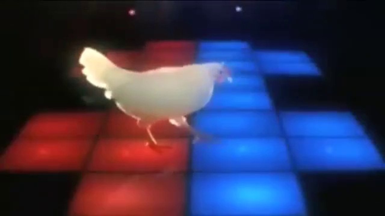 J.Geco - Chicken Song - Chicken funny song - video Dailymotion