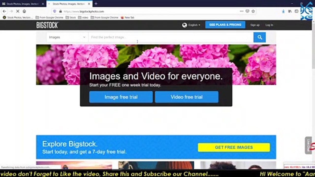 BigStock Photo contributor tutorial and Bigstock Questions solved.How ...