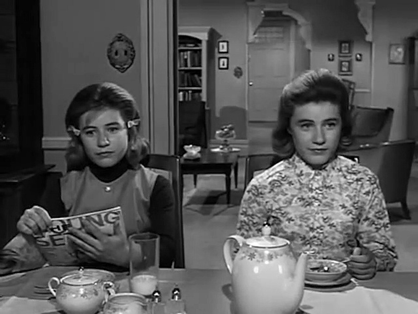 The Patty Duke Show