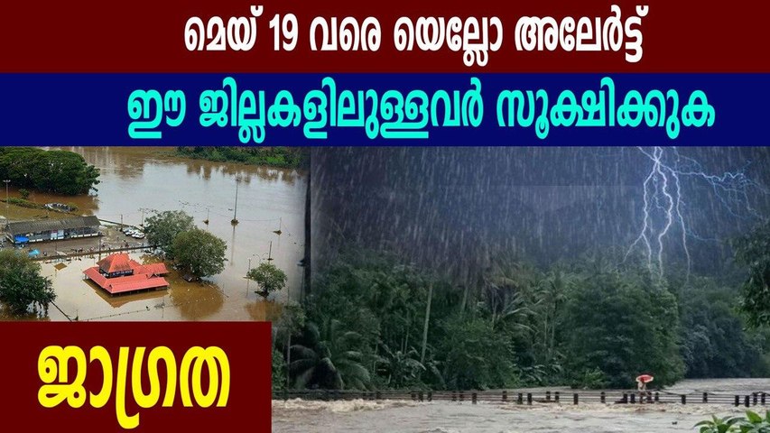 Kerala Rain Updates: Yellow alert declared in many parts of State for ...