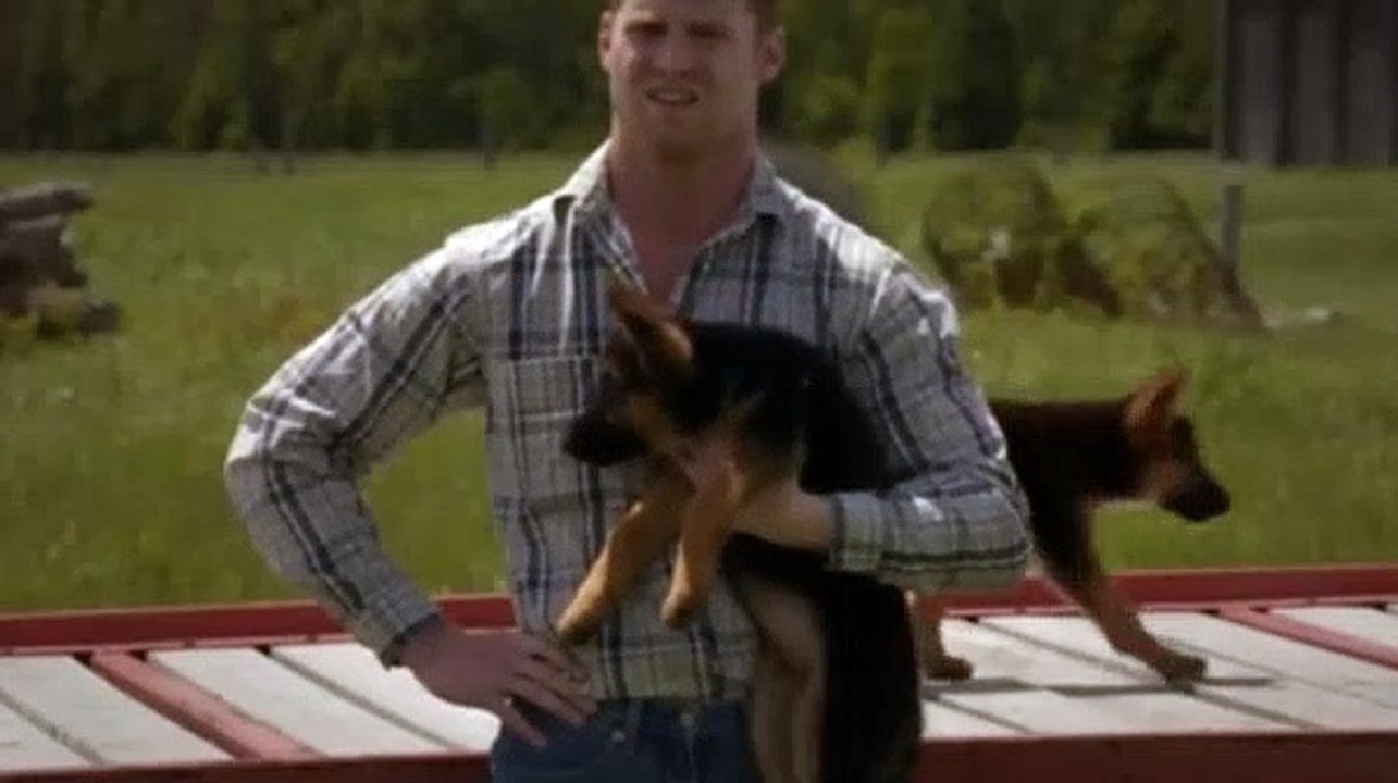 Letterkenny S01E02 Super Soft Birthday - video Dailymotion