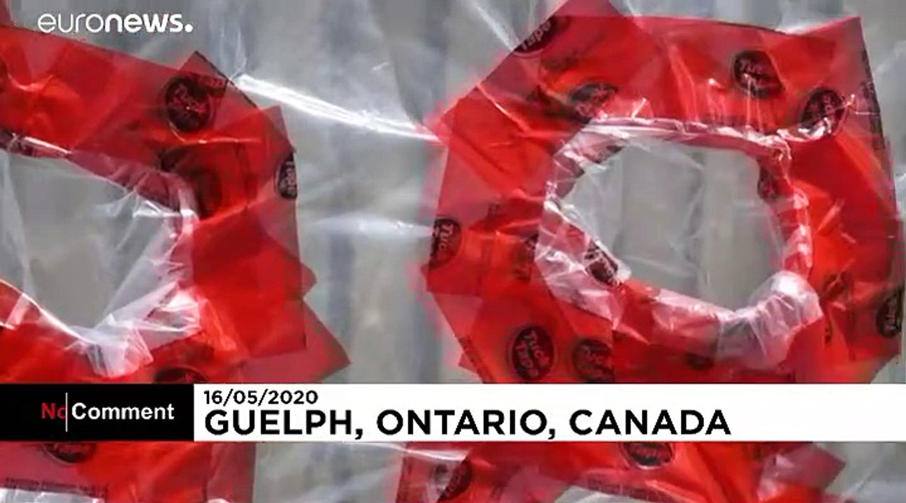 'Hug glove' gives Canada family bit of normality during COVID-19 ...