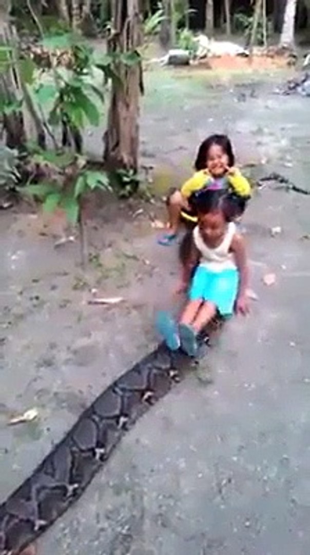 Images De Serpents Amusantes Pour Les Enfants Comment Faire Un Serpent