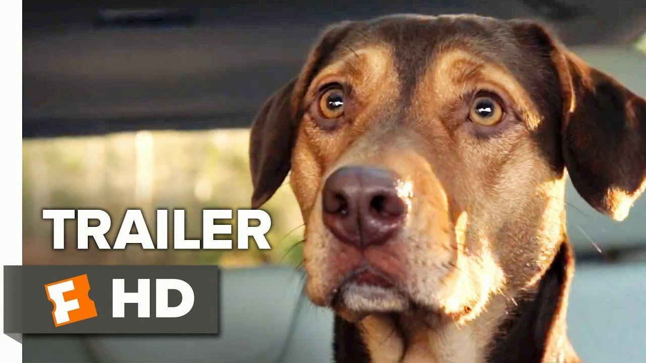 A Dog's Way Home International Trailer (2019) - video Dailymotion