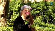 Amy Midget: Curvy Model, Plus-size icon, Biography, Wiki, Height ...