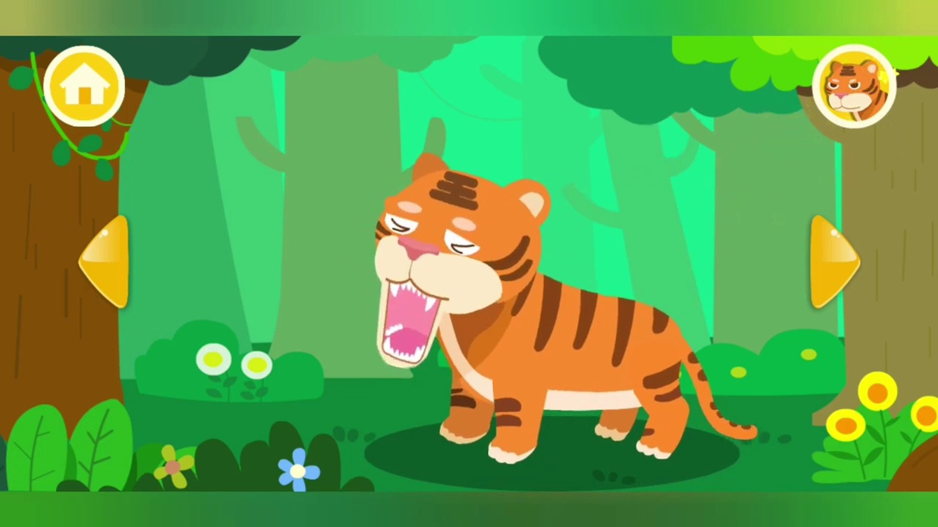 Of Cartoon Animal Paradise