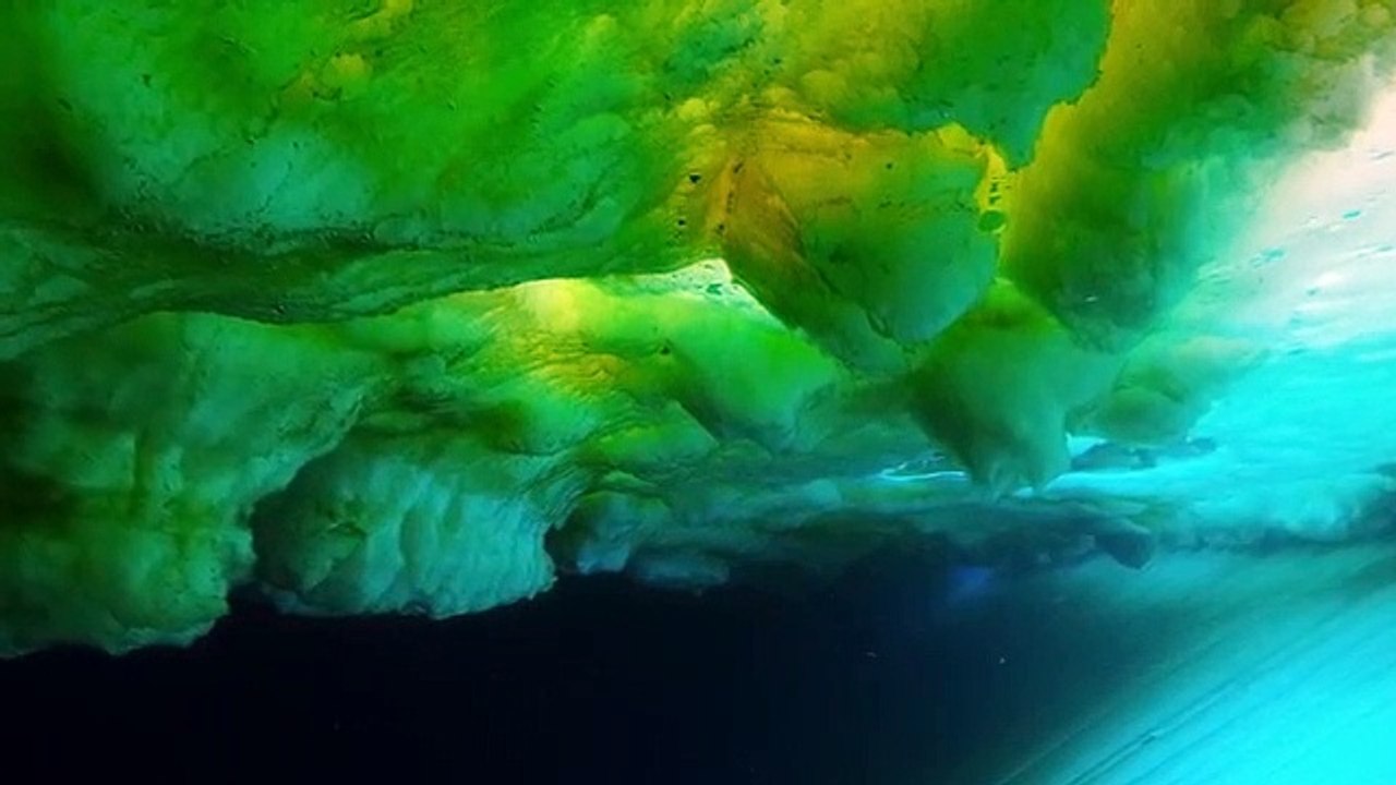 Our Planet | Frozen Worlds | FULL EPISODE | Our Planet 2020 S01E02 ...