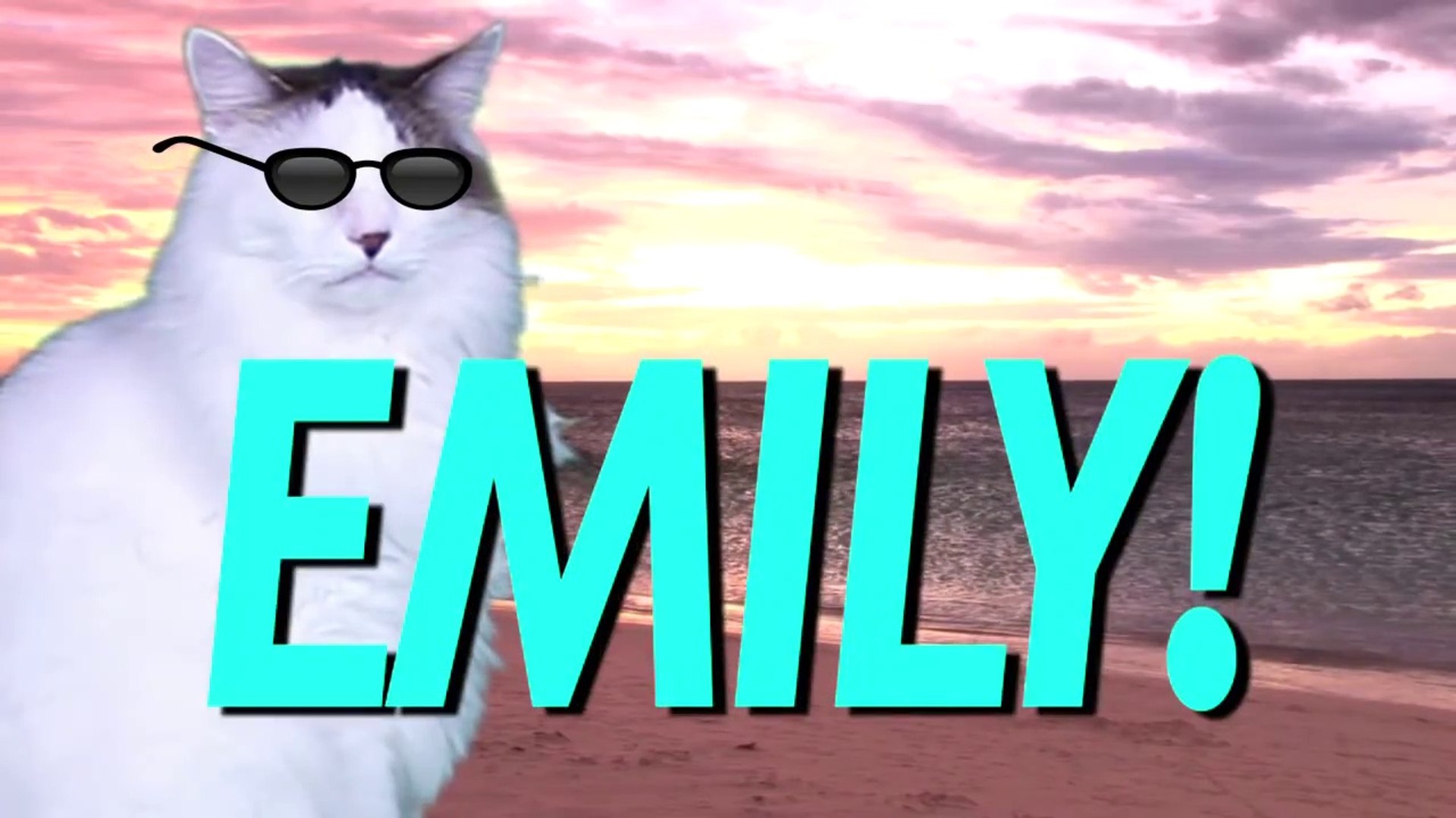 Happy Birthday Emily Memes