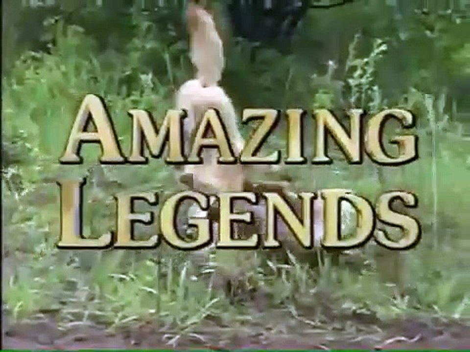 Felids vs Canids ,- Cats vs Dogs - video Dailymotion