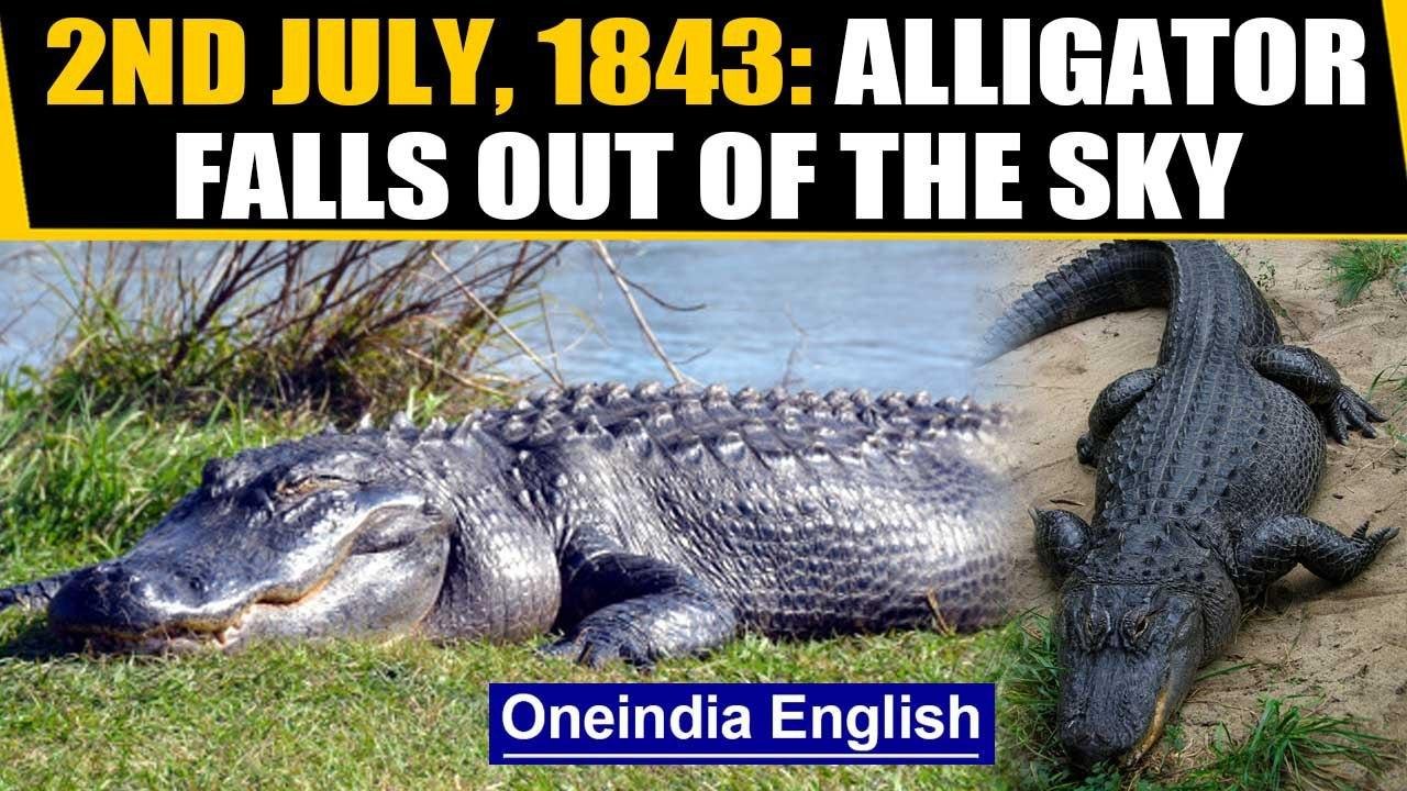 July 2nd, 1843: An alligator believed to have fallen out of the sky and ...