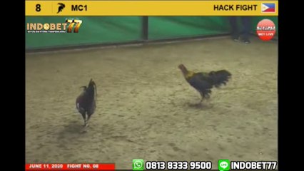 S128 oleh vidio sabung ayam - Dailymotion