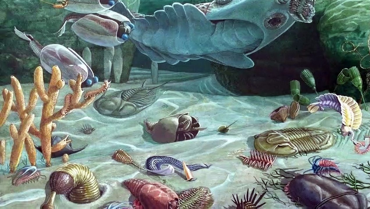 Spiky Worm’s Ancient ‘Death March’ Might Be Earliest Known Animal ...