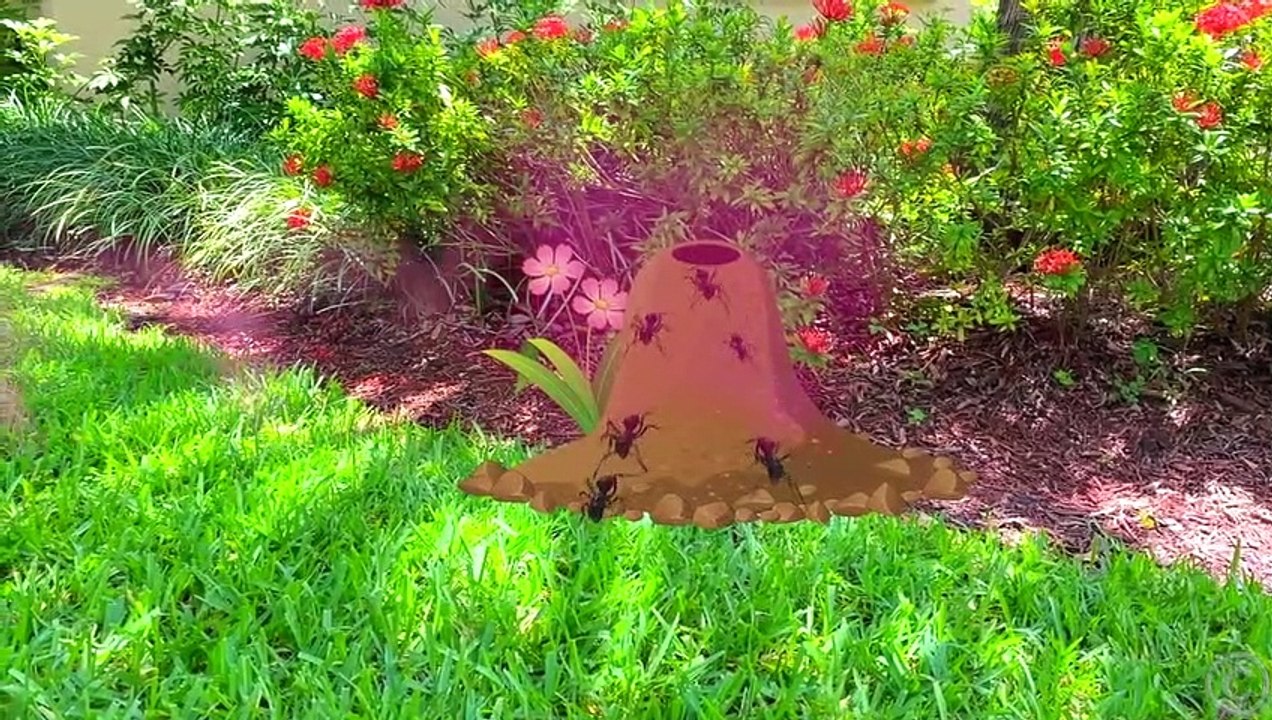 Nastya and her funny dress up - video Dailymotion