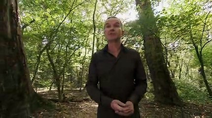 Cannabis: The Evil Weed - Documentarytube.com