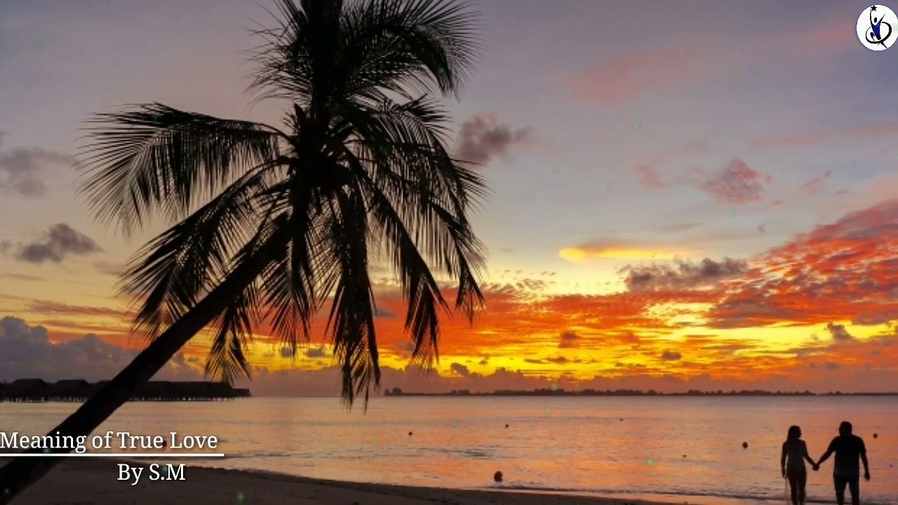 What is True Love |What is Love | Pyar Kya Hai | What is the Meaning of ...