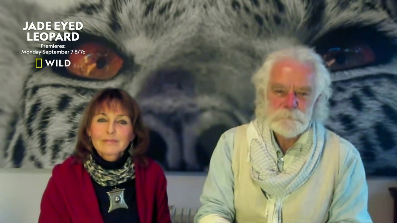 IR Interview: Beverly & Dereck Joubert For "Jade Eyed Leopard" [Nat Geo ...