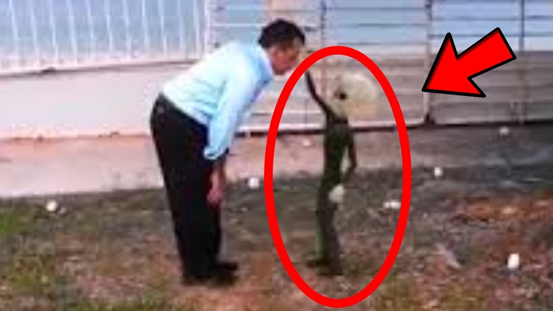 Real Alien Videos Caught On Tape