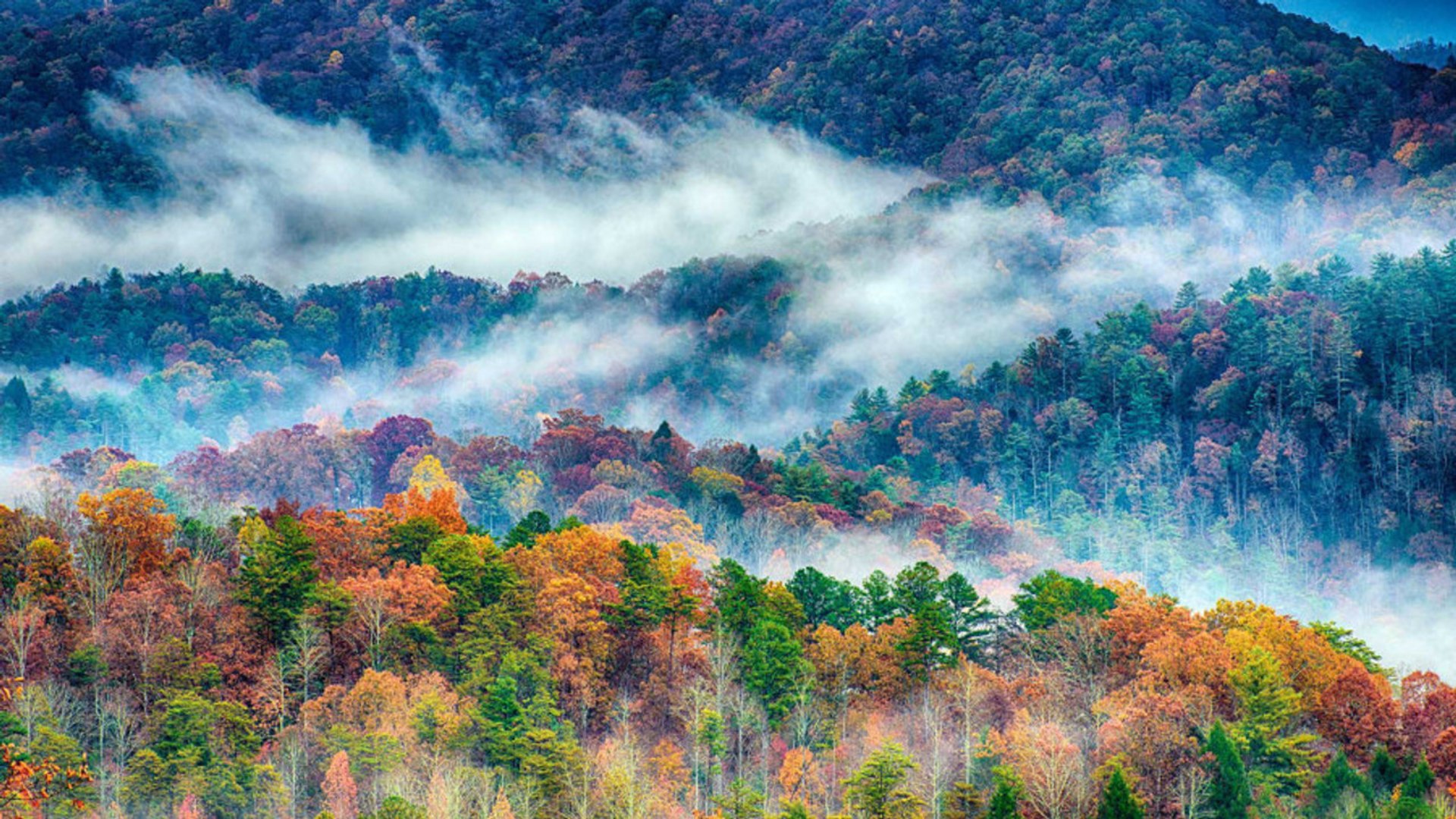 Smoky Mountain Fall Foliage