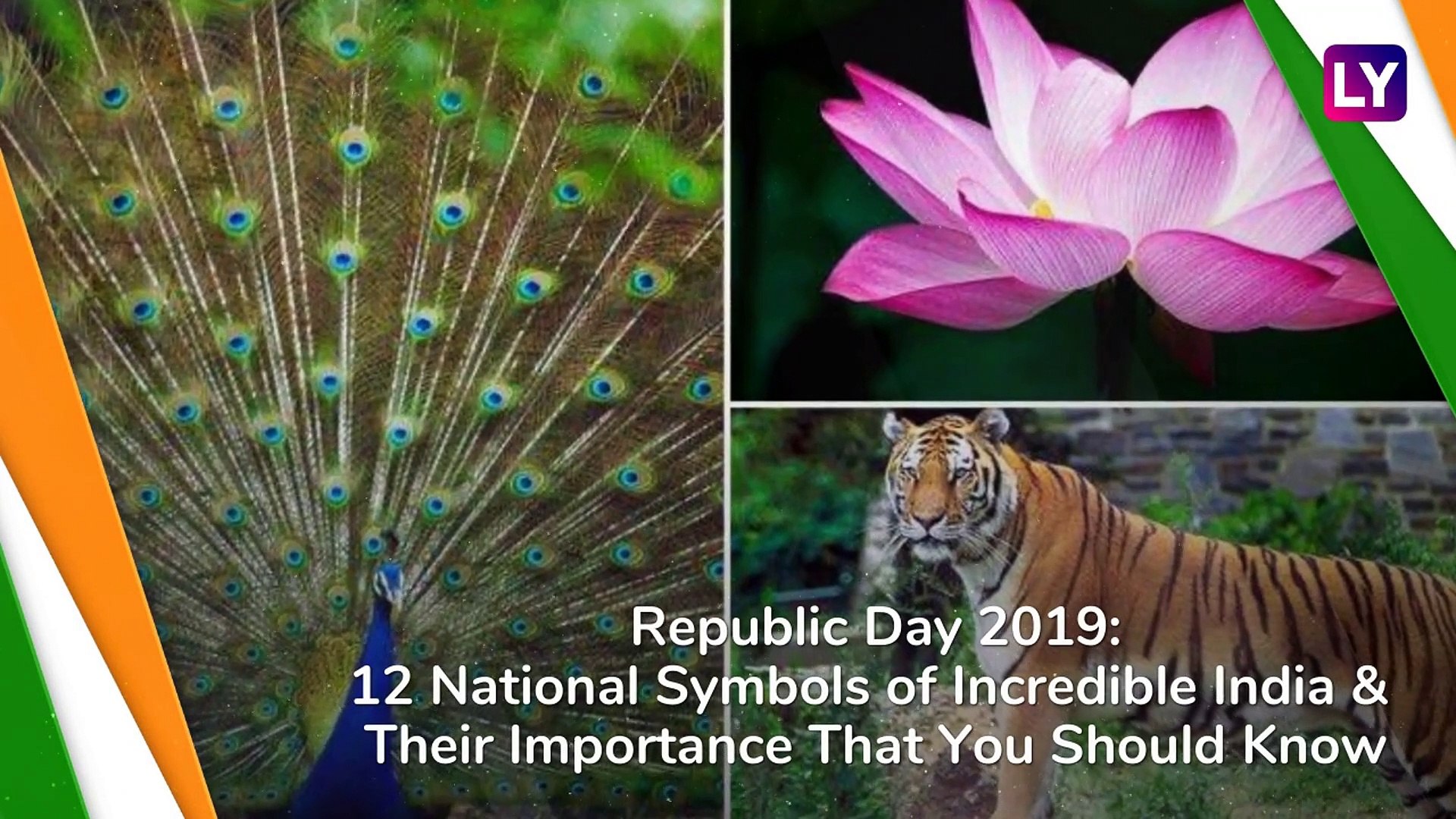 Incredible India National Symbols Of India And Their Meaning