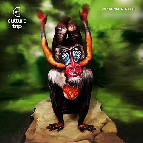 Monkey Body Paint
