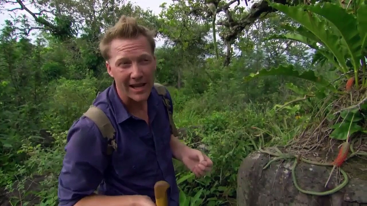 Lost Kingdoms of Central America 1of4 Kingdom of the Jaguar - video ...