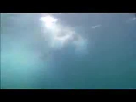 Sharkman | Film 2005 | Moviepilot