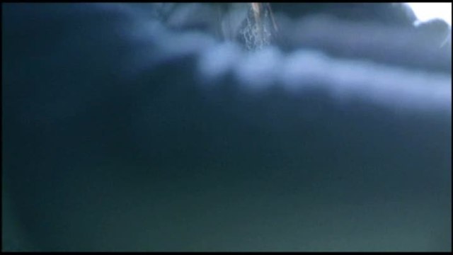 Exte | Film 2007 | Moviepilot.de