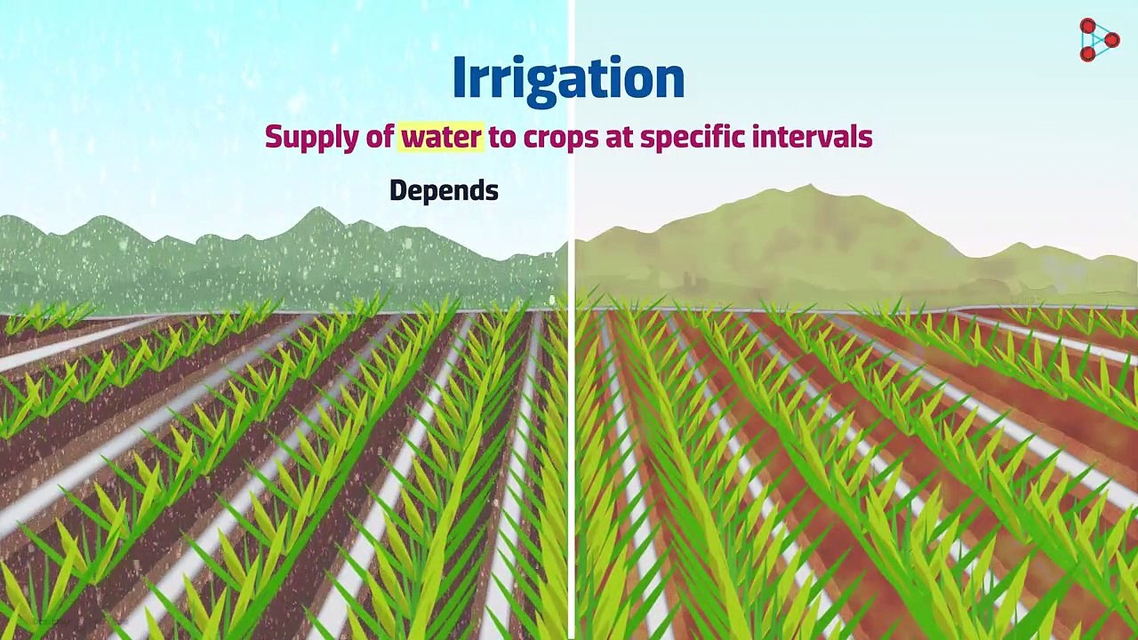 Traditional Methods of Irrigation _ Crop Production and Management ...