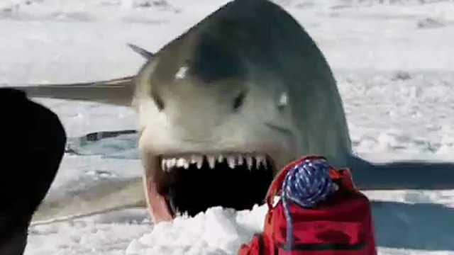 Ice Sharks | Moviepilot.de