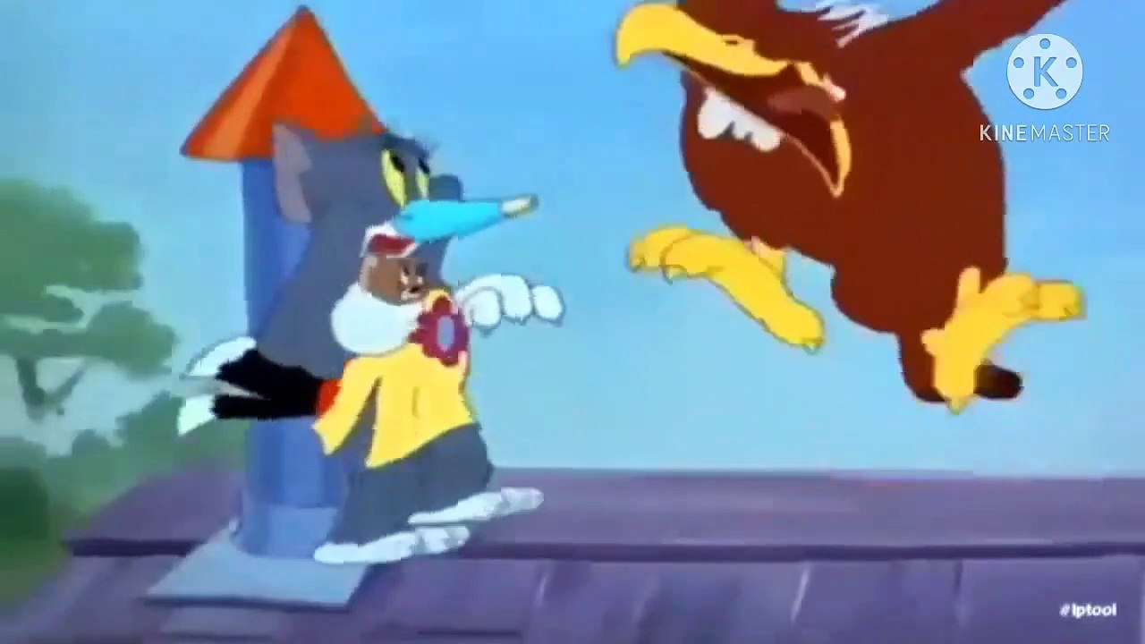 the tom and jerry eating sandwich - video Dailymotion