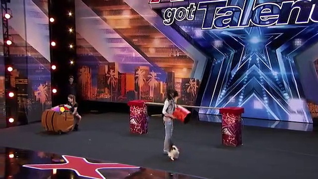 CATS!_TALENTED_Cats_On_America's_Got_Talent_Are_FELINE_Good!_|_Amazing ...