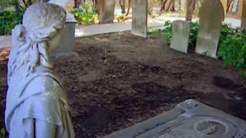 MythBusters videos - Dailymotion