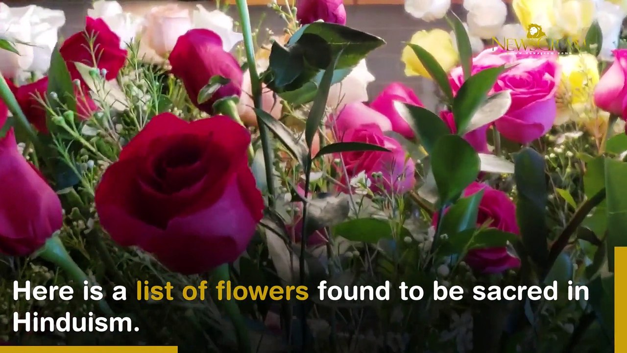 Here is Why Flowers in Hinduism Regarded as Symbol of Piousness and ...