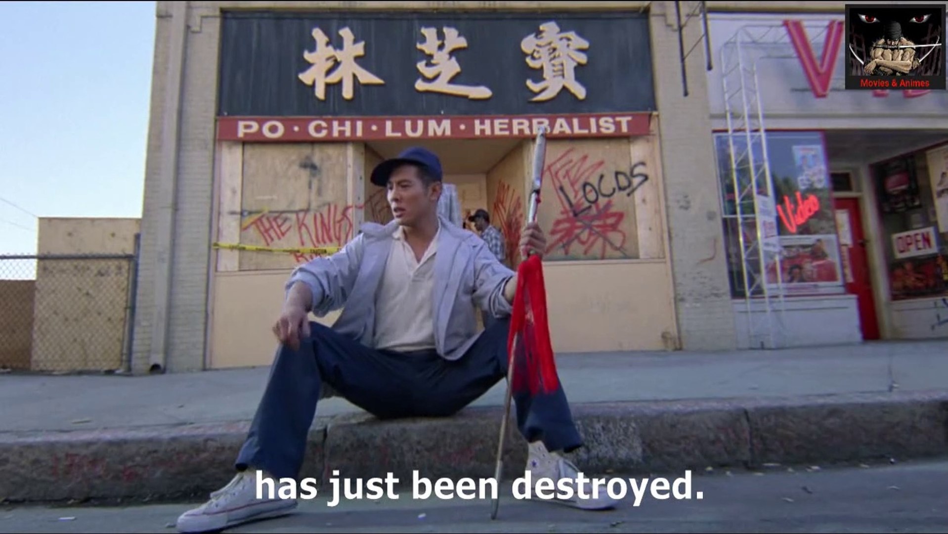 The Master Jet Li Movie