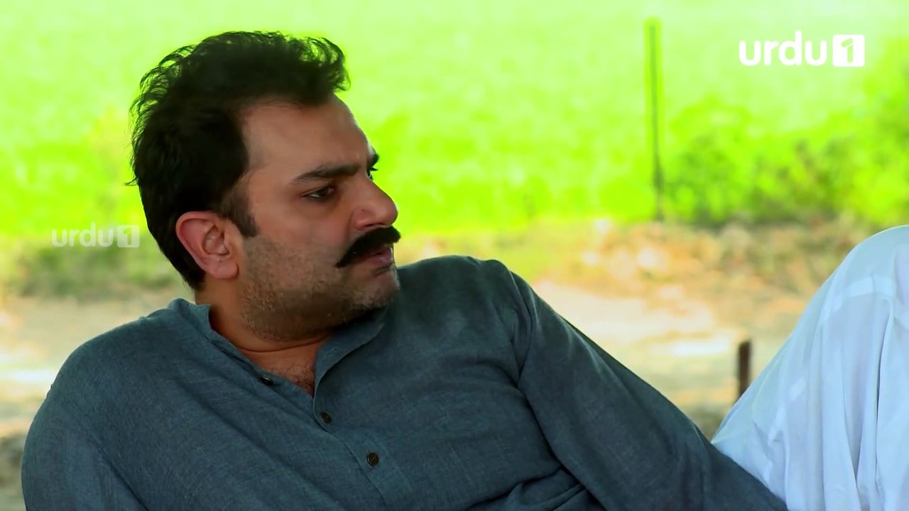 Mujhay Jeenay Do - Episode 14 | Urdu1 Drama | Hania Amir, Gohar Rasheed ...