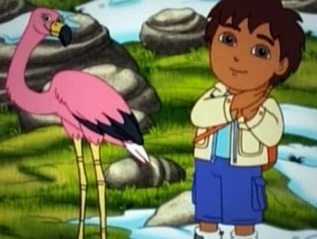 Go Diego Go