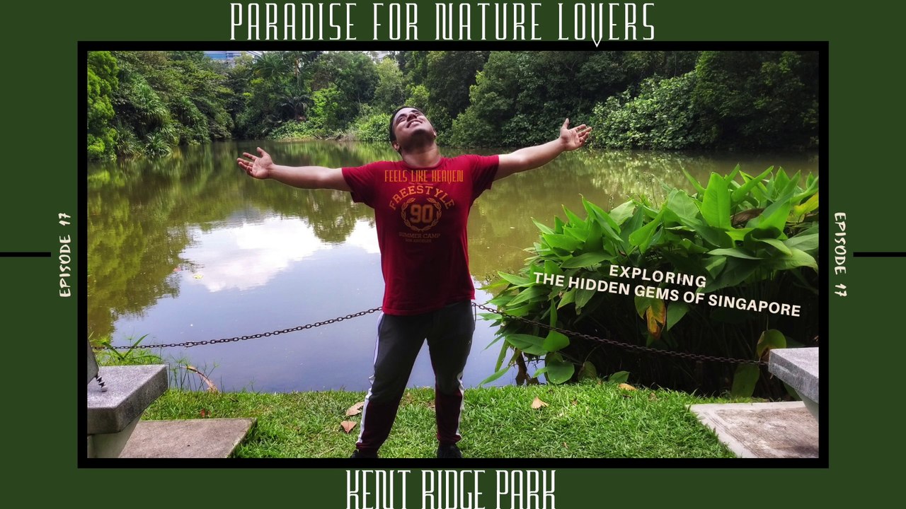 EXPLORING THE HIDDEN GEMS OF SINGAPORE - KENT RIDGE PARK || CANOPY WALK ...