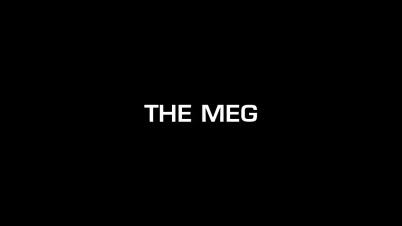Tom Bearden - How MEG Really Works - video Dailymotion