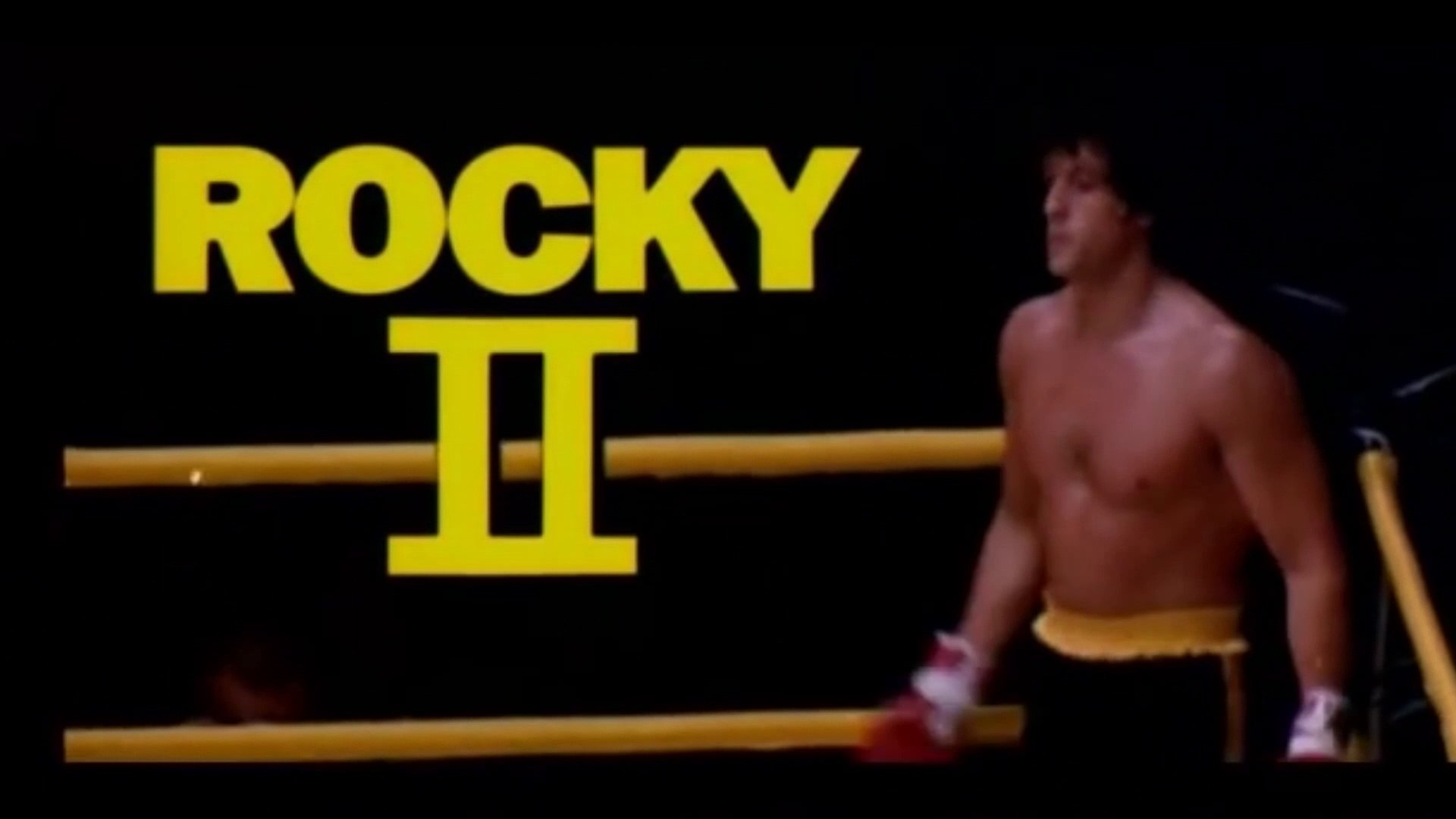 Rocky 2 Fight