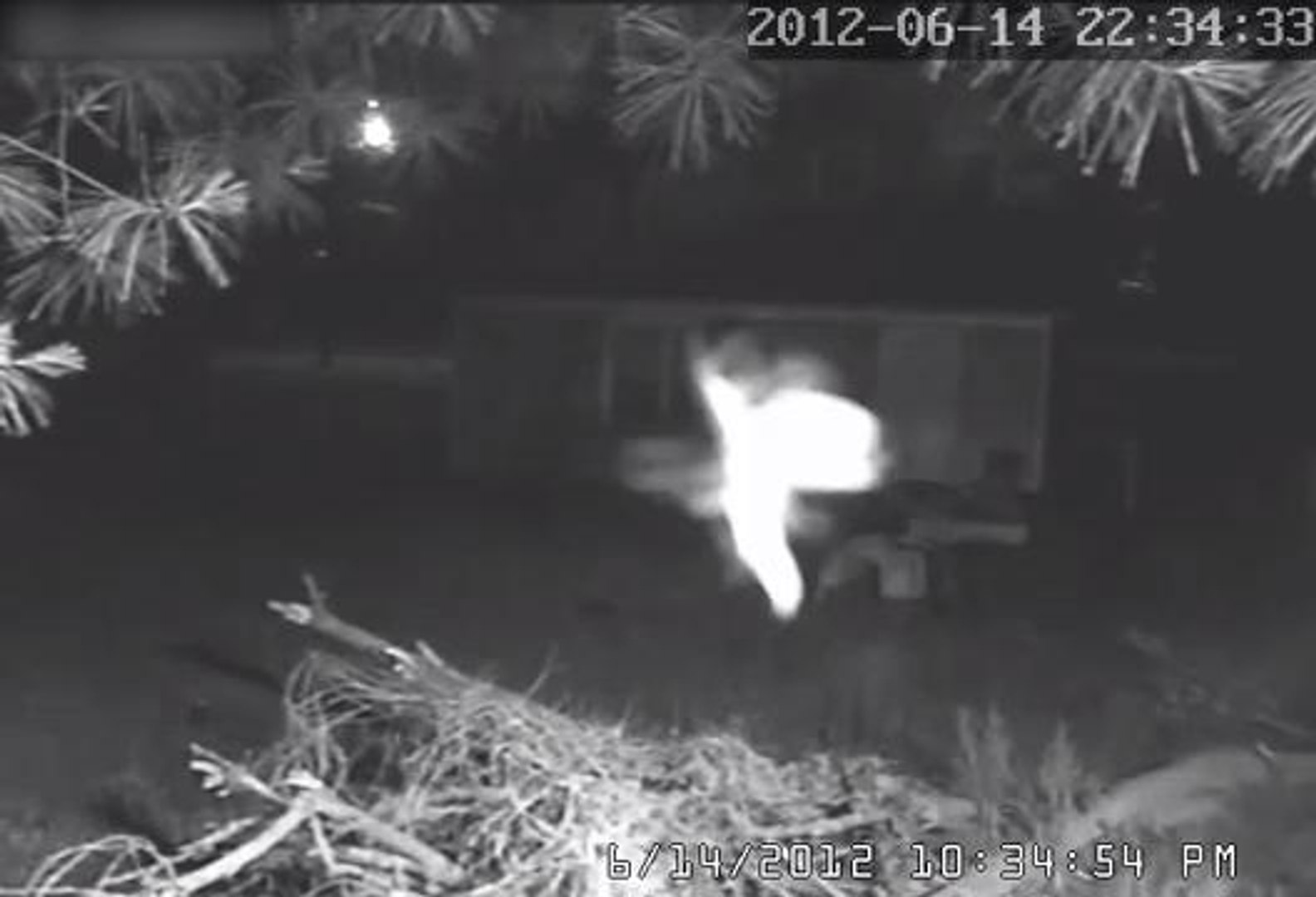 Real Fairies Caught On Camera