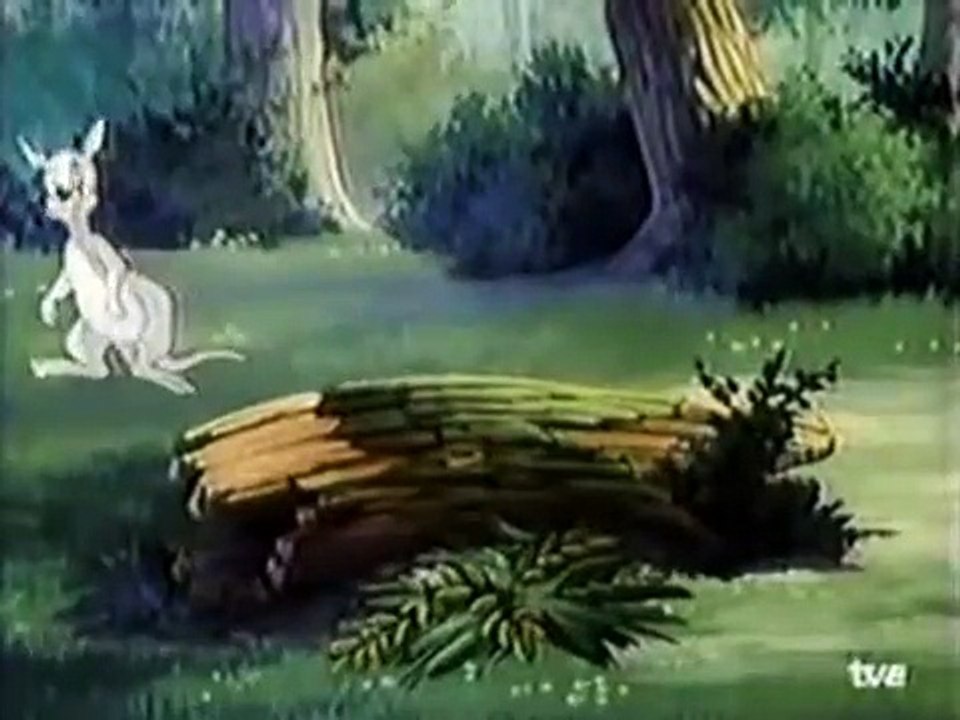 Mofli, el último koala - 12. La gran emboscada - Dailymotion Video