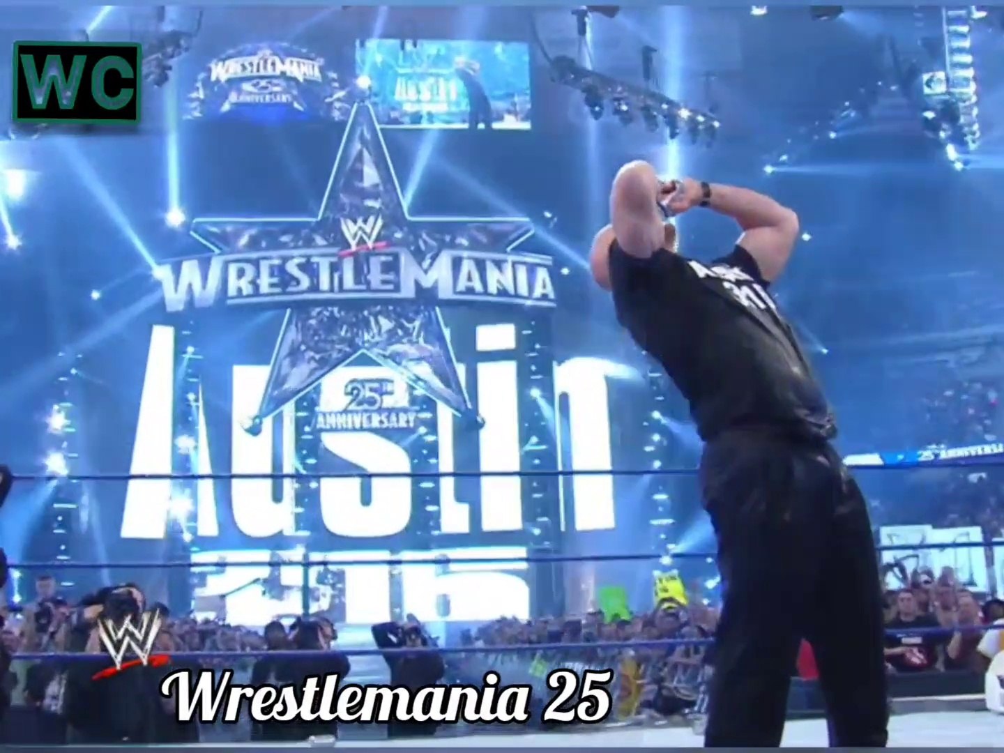 Wwe Wrestlemania 25 Stage