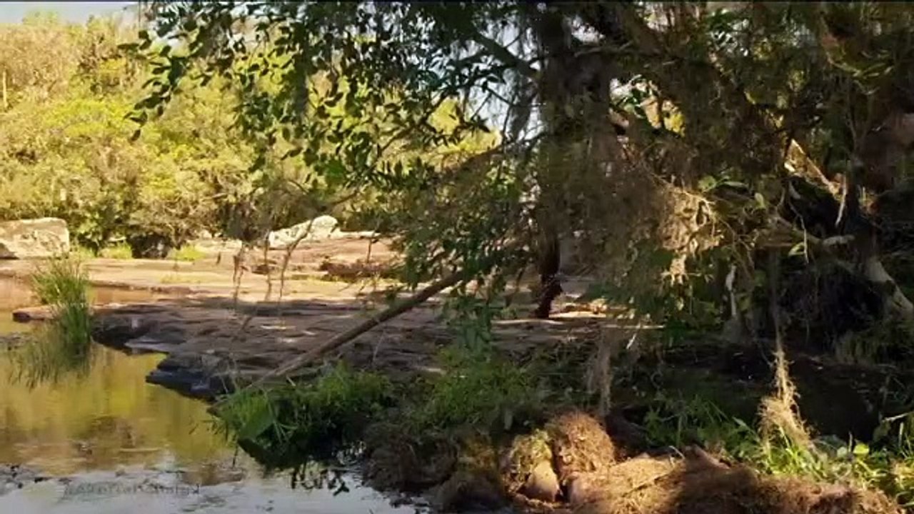 genesis 04-02-2021 parte 1 - Vídeo Dailymotion