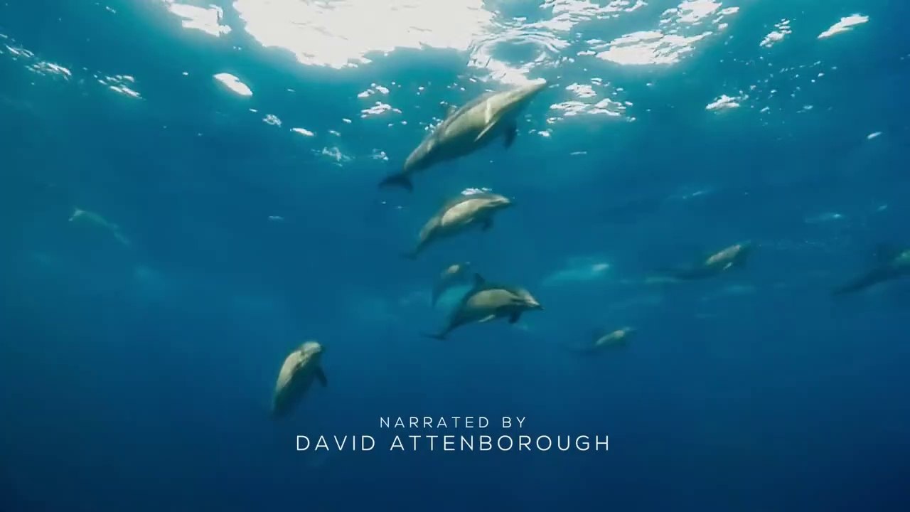 A PERFECT PLANET Ep4 - Oceans - Sir David Attenborough 2021 HD - video ...